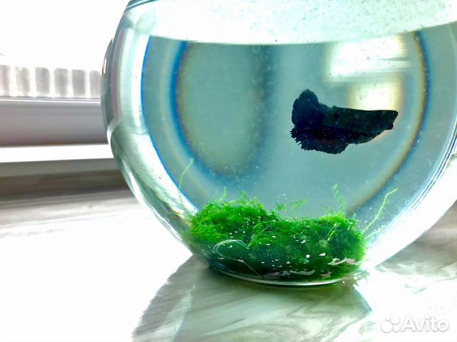 Аквариум полный комплект