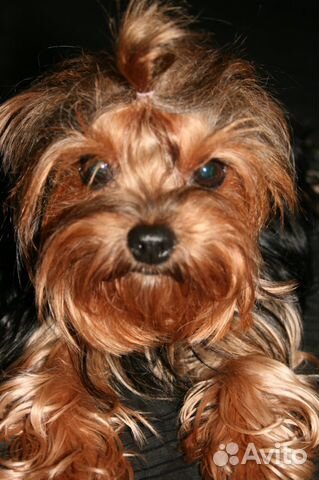 Самые красивые девочки и мальчик на майские праздн