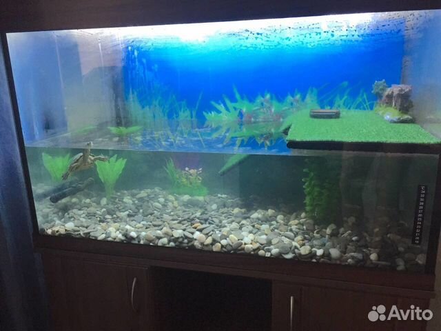 Черепашник закрыт. 101х51х66 (мостик, свет 2х30вт)