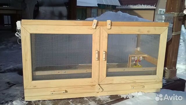 Брудер для цыплят