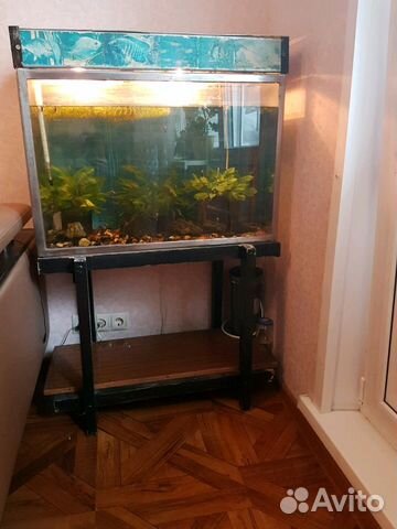 Аквариум