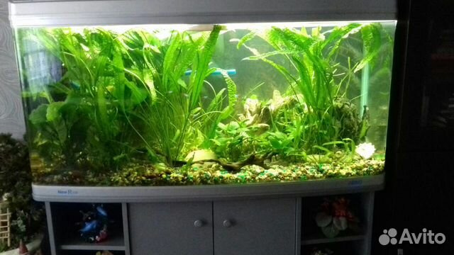 Аквариум jebo New R 3126 - 360 литров