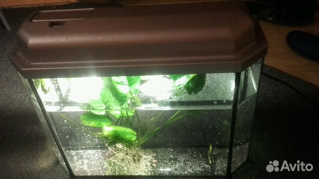 Аквариум комплект
