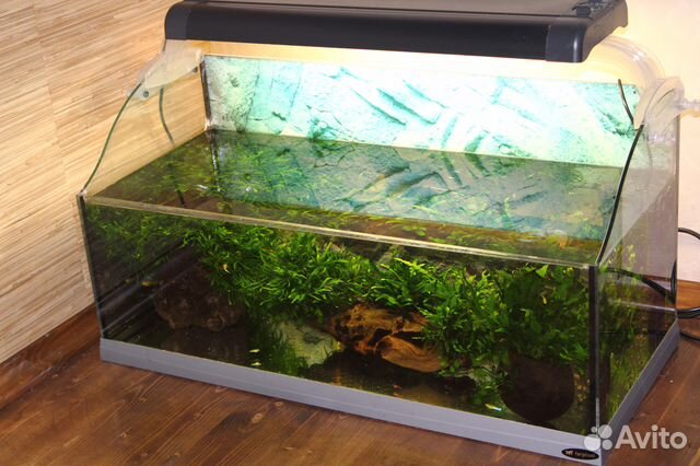 Аквариум Ferplast jamaica 80+светильник+фильтр