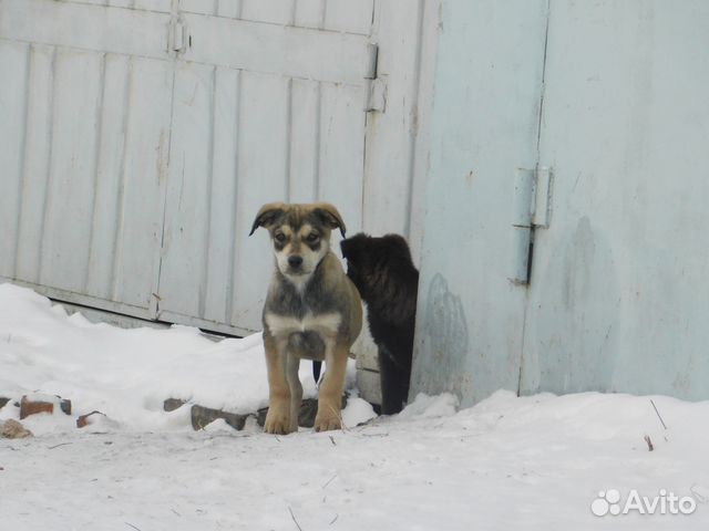 Подростки на охрану