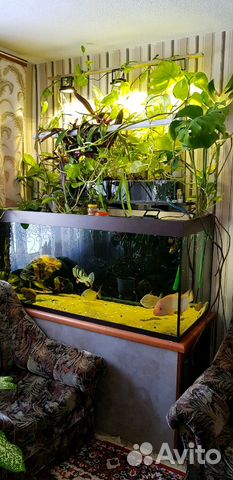 Продам 600 литров