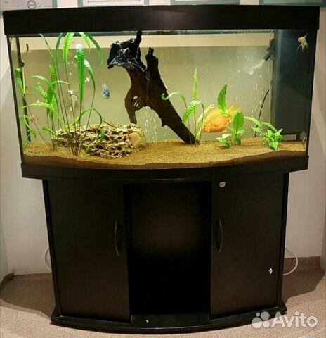 Аквариум juwel vision 260