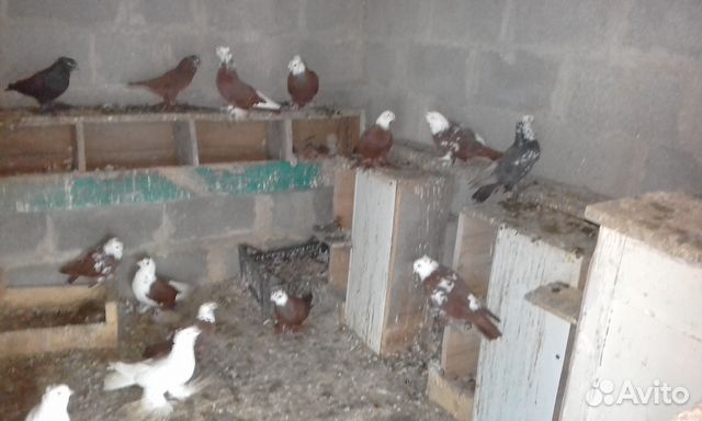 Ул. Крестьянская, д.74