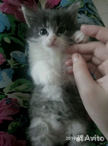 В хорошие руки