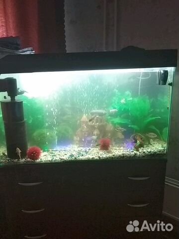 Аквариум 220л