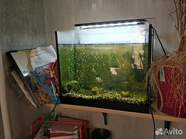 Аквариум +фильтр+компрессор +лампа+Рыбки 35л