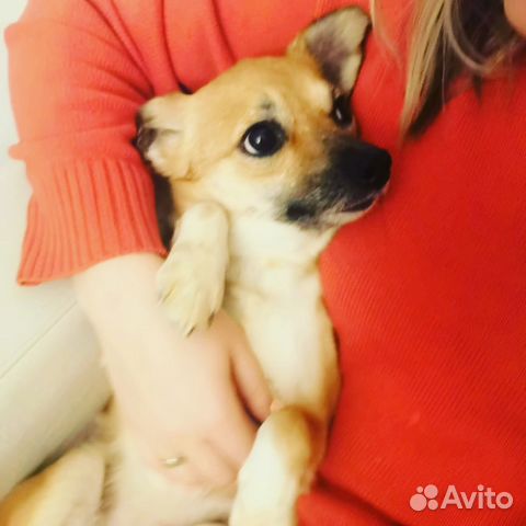 Балеринка Сабина