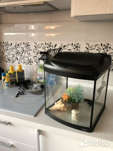 Аквариум 30 литров