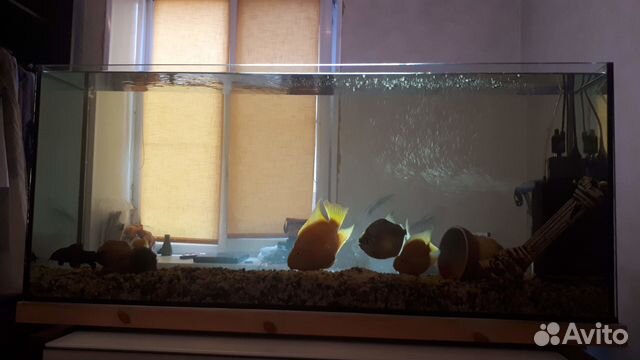 Аквариум с рыбками 150 л