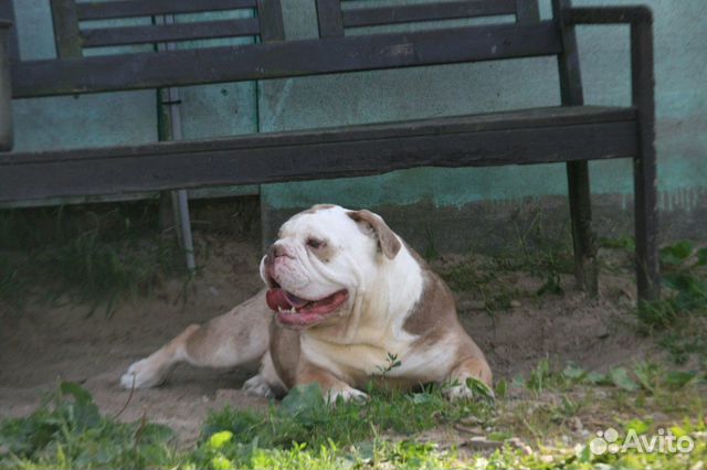 Приглашаю на свидания