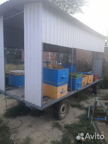 Пасика, улики