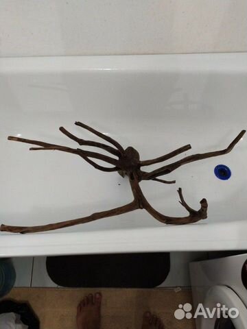 Коряга для Аквариума