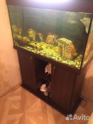 Аквариум с рыбками (комплект)