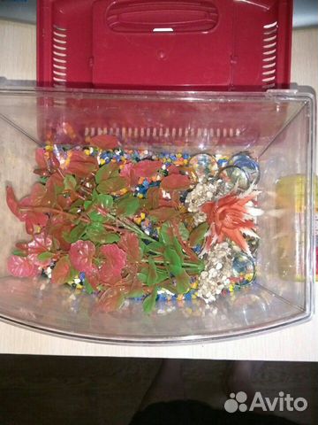 Аквариум для Петушка