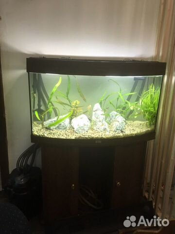 Аквариум 180л панорамный