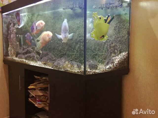 Аквариум