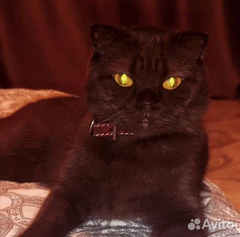 Ждём жениха