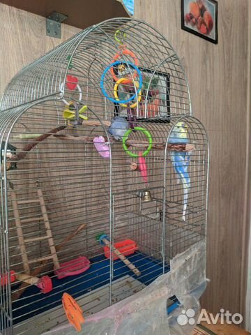 Волнистые попугаи с клеткой