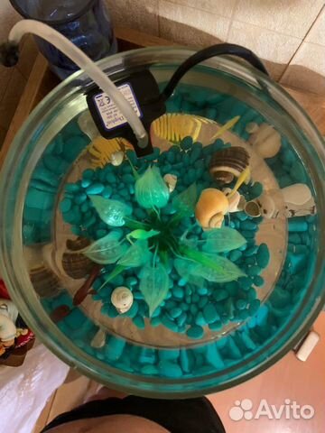 Аквариум бокал 10л