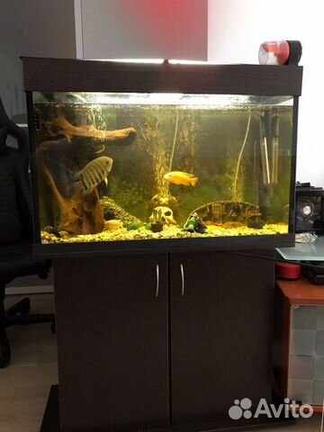 Аквариум под ключ
