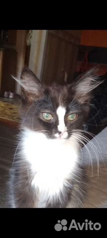 Домовёнок Кузя