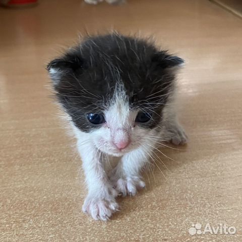 Помогите пожалуйста найти дом малышу