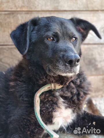 Макс, которого незаслуженно не замечают