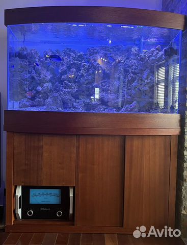 Морской аквариум