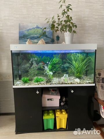 Аквариум с тумбой