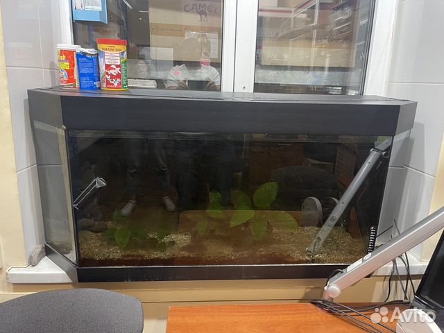 Аквариум Juvel panorama 200