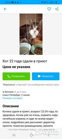 Возьмите кота 22 лет на счастливое доживание