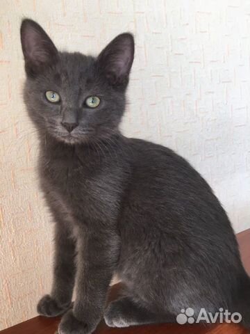 Очаровательный мальчик