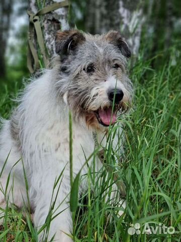 Не известно сколько осталось