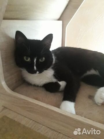 Девочка Вася