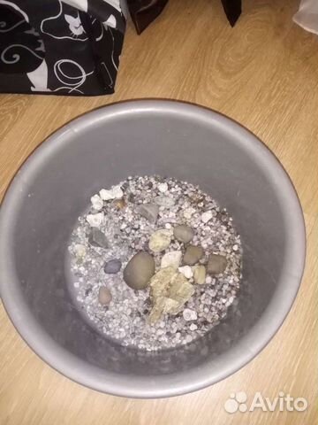 Оквариум ещё советского производства в идеале