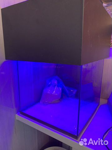 Аквариум бывший морской