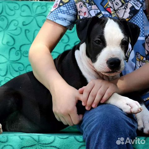 Клевая девчонка