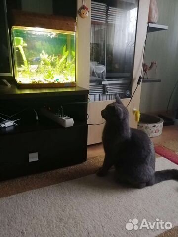 Аквариум jebo r331