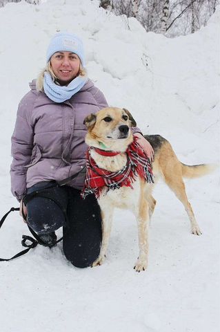 Ласковая собака Мия ищет дом