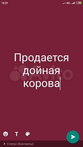 Продается корова,молочная