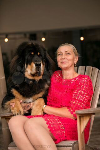 Взрослый кобель